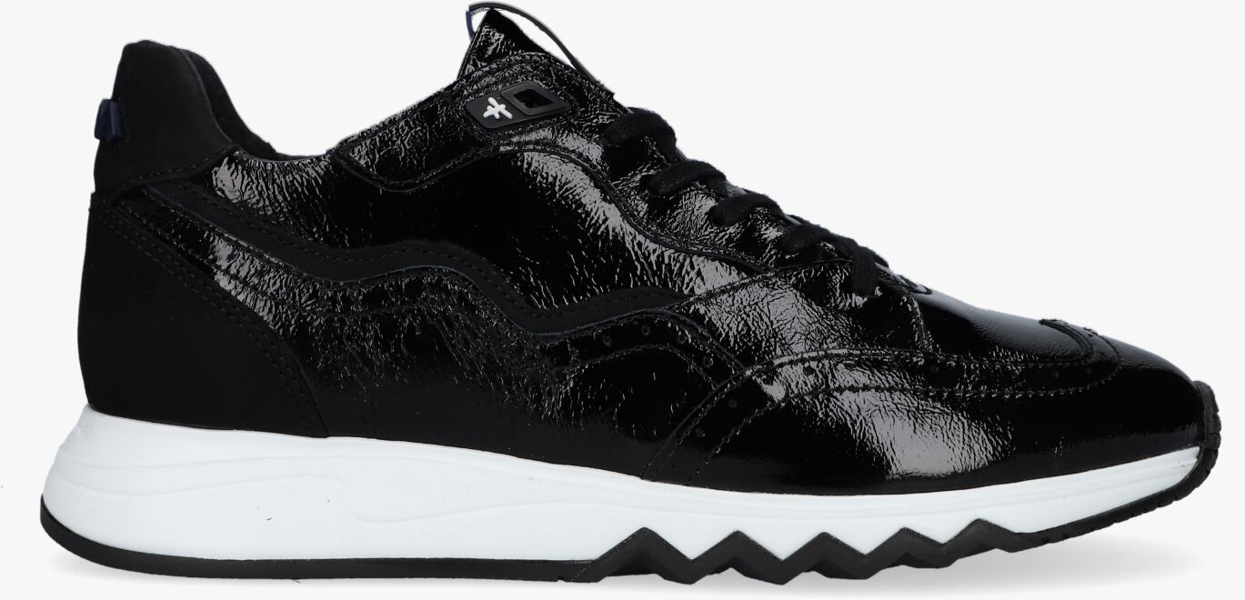 Schwarze FLORIS VAN BOMMEL Sneaker Low 85287 | Omoda